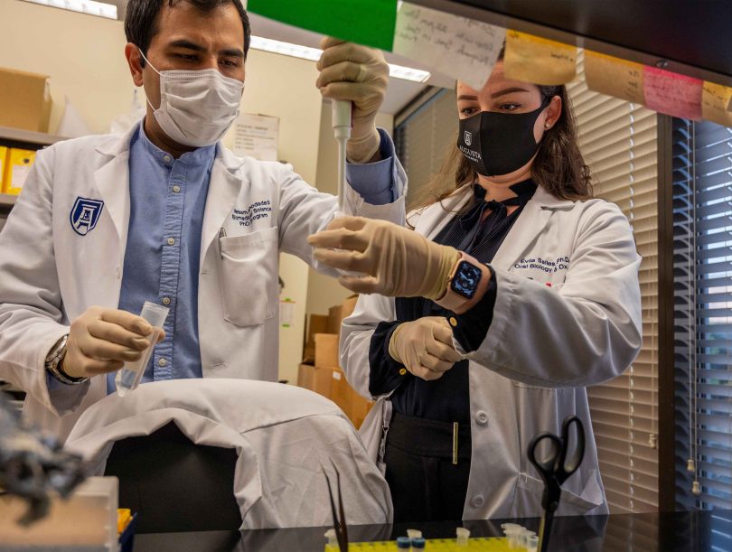 IPPH News for 2020 – Campus Insider