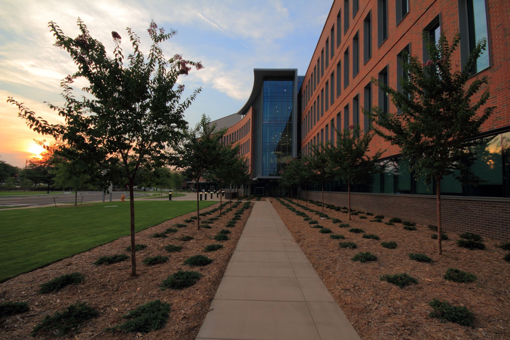 Two DCG Students Published in Contour Magazine – Campus Insider