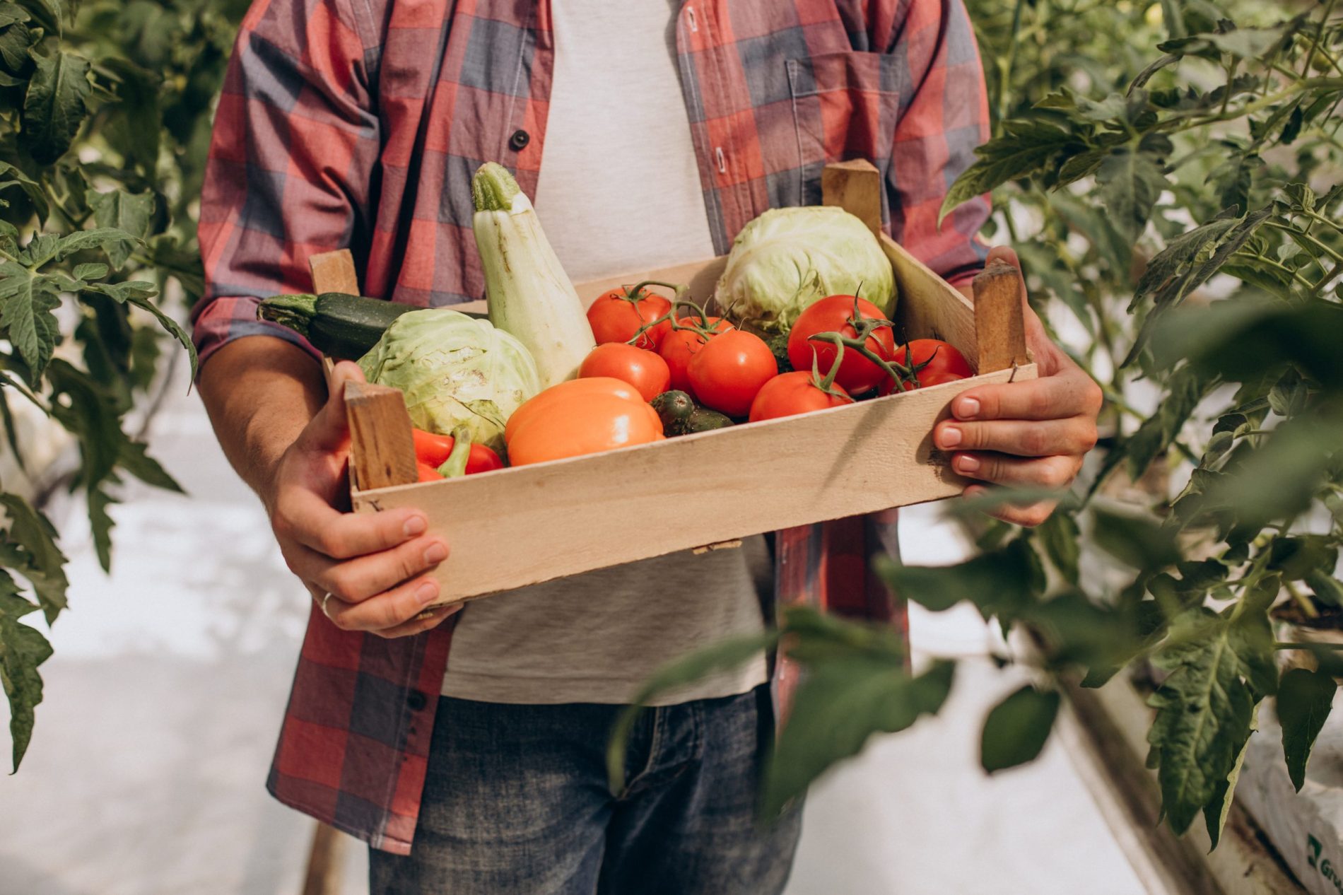 Solutions to How Farmers Markets Can Reduce Food Deserts – Campus Insider