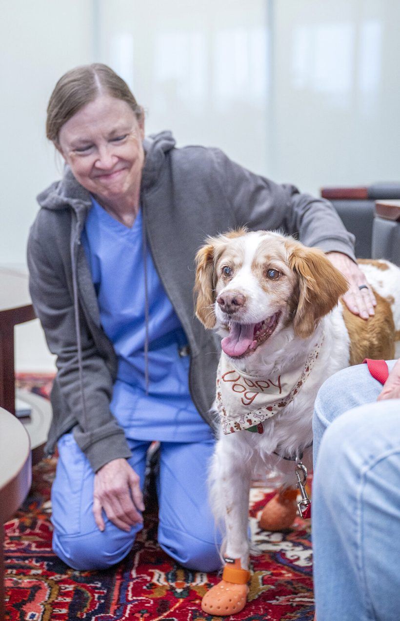 DCG Enjoys Mental Health Day – Campus Insider